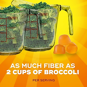 Metamucil Fiber Gummies for Adults, No Sugar Added Orange Flavor, 5g Prebiotic Plant Based Fiber Supplement Blend, 120 Count