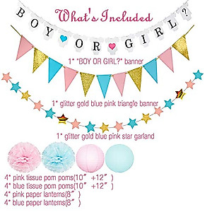 Gender Reveal Party Decorations BOY OR GIRL Banner Glitter Gender Reveal Cupcake Toppers Glitter Gold Pink Blue Triangle Garland Star Garland Tissue Paper Pom Poms Paper Lanterns for Baby Shower Party