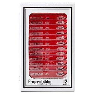 LINKMICRO 48pcs Prepared Plastic Microscopes Slides with 4 Types of Glass Biological Specimen for Kids Students