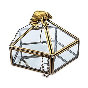 Harry Potter Gold Chocolate Frog Jewelry Box Organizer Display Case Container | Jewelry Dish Trinket Tray For Necklaces, Rings, Bracelets | Home Decor Room Essentials | Wizarding World Gifts