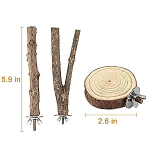 Filhome Bird Perch Stand Toy, Natural Wood Parrot Perch Bird Cage Branch Perch Accessories for Parakeets Cockatiels Conures Macaws Finches Love Birds (15CM YIOO)