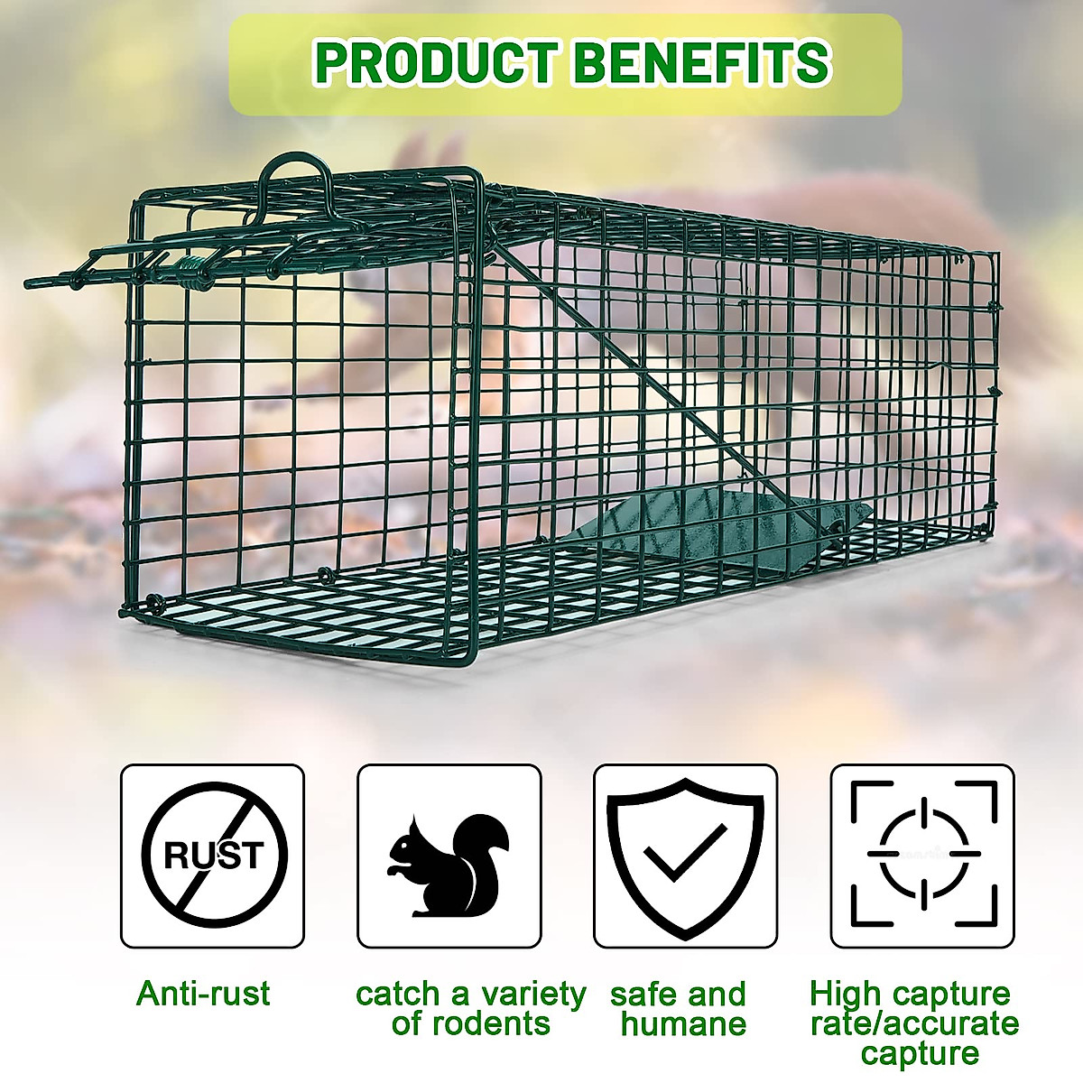Qualirey 2 Pcs Humane Squirrel Trap Heavy Duty Live Animal Chipmunk Trap Catch and Release Rat Trap for Outdoor Small Animals Mouse Raccoon Stray Cat Rodent Weasels (16 x 5 x 5 Inch)
