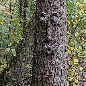 INNOLITES Tree Faces Decor Outdoor, Tree Face Statues Old Man Tree Hugger Bark Ghost Face Decoration Funny Yard Art, Tree Decor Outdoor for Halloween Easter Garden Creative Props (ABCD)