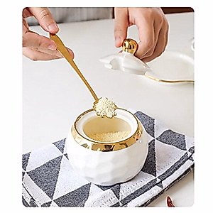 Buric Porcelain Condiment Jar, 3pcs Spice Container Set with Spoon and Tray for Sugar Bowl Serving Tea, Coffee, Spice (White)