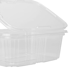 Karat 32oz PET Tamper Resistant Hinged Deli Container with Lid - 200ct