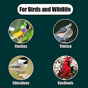 Old Potters Wildlife Black Oil Sunflower Seeds, 10 lbs for Birds and Wildlife, USA Grown Non-GMO, 10 Pounds