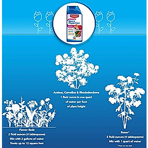 BioAdvanced All-In-One Rose and Flower Care, Concentrate, 64 oz