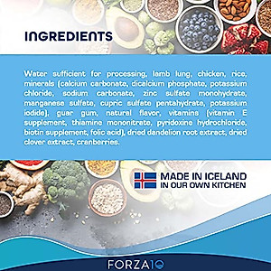 Forza10 Wet Dog Food Kidney RENAL ACTIWET, 3.5oz, Kidney Dog Food Wet, Renal Dog Food Lamb Flavor, Dog Renal Support Canned Dog Food (32 Pack)