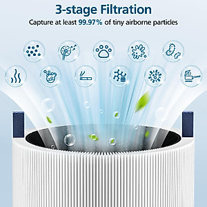2 Pack Mini Max Air Filter Replacement, Filter Compatible with BLUEAIR Blue Pure Mini Max Air Purifier, True HEPA H13 Filter +Activated Filter