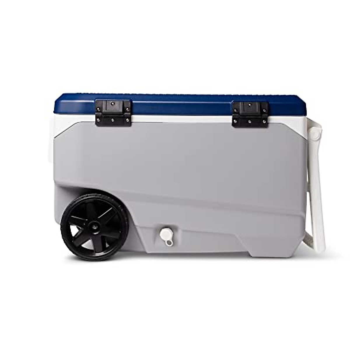 Igloo Maxcold Latitude 90 Roller (Ash Gry.Wht.Aegean Sea.Blk) 00034818