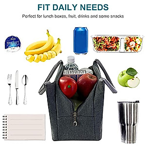 Mziart Lunch Bag for Women Men Reusable Lunch Bags Simple Lunch Tote Bag Modern Insulated Lunch Box Food Container Lunch Cooler Bag for Work Office Travel Picnic (Gray)