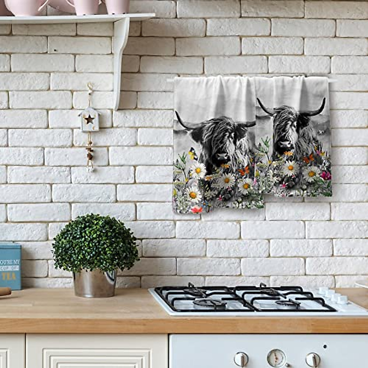 Giwawa Farm Cow Hand Towels Scottish Bull Soft Thin Bath Towel Set of 2 Cotton Luxury Kitchen Washcloths for Bathroom Home Gym Hotel Sport