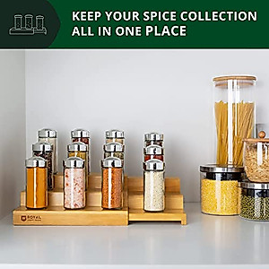 ROYAL CRAFT WOOD Bamboo Spice Organizer for Cabinet - Tiered Spice Rack Organizer for Cabinet or Countertop, Pantry Step Shelf (15.16"x 8.3" x 3.3")
