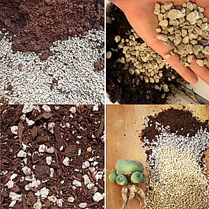 Horticultural Pumice for Plants Professional Sifted (12QT, 1/4 inch)