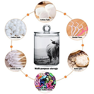 xigua 2 Pack Highland Cow Qtip Holder Dispenser with Lids 14 oz Bathroom Storage Organizer Set,Clear Apothecary Jars Food Storage Containers for Tea,Coffee,Cotton Ball,Cotton Swab,Floss