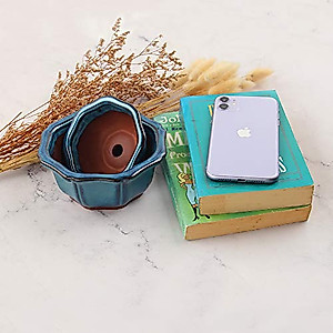 Happy Bonsai 5" Small Glazed Pots, Value Set of 2 + 4 Soft Mesh Drainage Screens