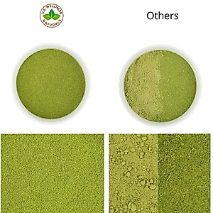 U.S. Wellness Naturals Moringa Powder 1LB (16Oz) 100% Certified Organic| 100% Pure Moringa Leaf NO Stems| - Raw from India | Smoothies | Drinks | Tea | Recipes - Resealable Bag