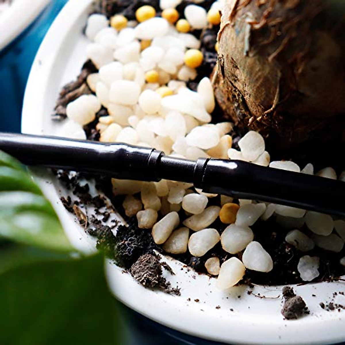 Daisypower 1/4 inch Blank Distribution Tubing Drip Irrigation Hose,50ft Soft Watering Tube for Small Lawn Garden Irrigation System