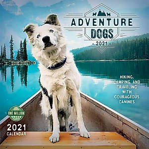 Adventure Dogs 2021 Calendar