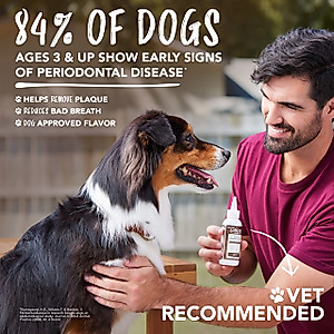 TropiClean Enticers Teeth Cleaning Gel & Toothbrush for Large Dogs | Peanut Butter & Honey Flavor | Bamboo Brush Speeds Up Plaque Removal | Gel Helps Fight Bad Breath | 2 oz