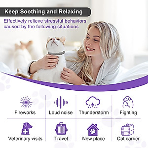 Anipaw Calming Collar for Cats 6 Pack Cat Calming Collar Relaxing Cat Pheromone Collar Adjustable Breakaway Design for Small Medium Large Cats Kitten Peeing Relieve Anxiety and Stress(Grey)