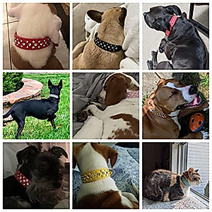 Hotlion Bling Diamond Dog Collar Cute Sparkly Crystal Rhinestone Cat Collars Adjustable Soft PU Leather Fancy Glitter Kitten Puppy Pet Collar for Small Medium Dogs Cats Yellow XXS