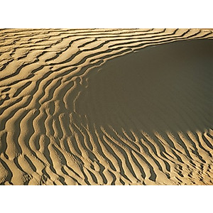 Posterazzi Ripples In Sand Dune Close Up Poster Print, (36 x 26)