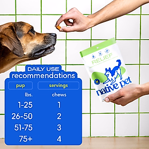 Native Pet Relief - Anti Inflammatory for Dogs - Turmeric, Polyphenols, Green Lipped Mussels for Dogs - Dog Aspirin Alternative - Dog Arthritis Supplement & Dog Joint Pain Relief - 60 Dog Relief Chews