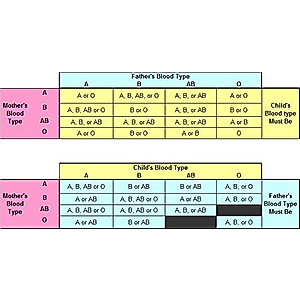 Eldoncard Blood Typing Kit, 5 Test Pack, Know Your Blood Type, Accurate Instant Home Testing, Determine A, O, B, Rhs-D Negative & Positive Groups