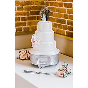 Dihtan Unique and Funny Fishing Wedding Cake Toppers Bride and Groom (Light Skin Dark Hair)