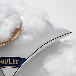 MIULEE 18x18 Pillow Inserts Set of 2 Throw Pillows 18 Inch Premium Down Alternative Pillow Inserts Decorative Pillow Stuffer for Sofa, Couch (18x18 inch, Set of 2)