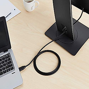 Amazon Basics 10-Pack DisplayPort 1.2 Cable, 21.6Gbps High-Speed, 4K@60Hz, 2K@165Hz, Gold-Plated Plugs, 6 Foot, Black