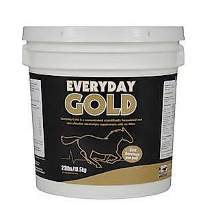TRM Everyday Gold Electrolyte Horse Supplement for Performance and Recovery | Sodium, Potassium, Magnesium, Calcium - 22 lb (10kg) - 22 lb
