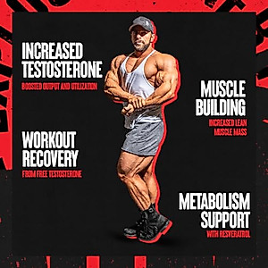 Animal Test – Testosterone Booster For Men – Arachidonic Acid, Yohimbe Bark, Trans Resveratrol, Cissus Quadrangularis – Convenient All-in-one Packs for Strength Athletes & Bodybuilders – 21 Day Cycle