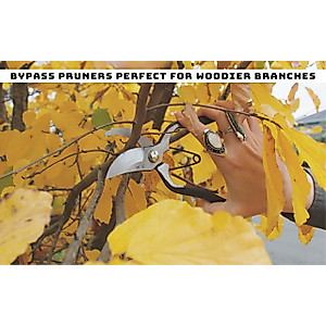 Skyhaven Harvest Bypass Pruning Shears 8 Inch Japanese-style Forged Carbon Steel Garden Scissors, Gardening Tools Hand Pruner with Ergonomic Handle.