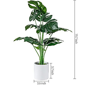 MyGift 20-inch Tall Artificial Garden Monstera Plant in Modern White Planter Pot, Fake Tropical Palm Tree, Faux Leafy Green Tabletop Decoration