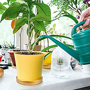 LNQ LUNIQI Round 4 Inch Ceramic Plant Saucer Drip Tray Set of 2 for Indoor Small Flower Pots Home Garden Outdoor Flower Plant Pot,Gold Saucers