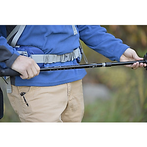 ALPS Mountaineering Explorer Trekking Pole Black, One Size