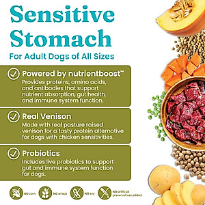 Solid Gold Dry Dog Food for Adult & Senior Dogs - Made w/Real Venison, Potato, & Pumpkin - Nutrientboost Buck Wild Sensitive Stomach Dog Food for Protein Sensitivities & Gut Health - 22 LB