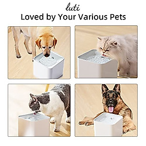 Cat Water Fountain Wireless,luti Pet Water Fountain for Cats Inside with Wireless Pump,Super Quiet Cat Water Fountain for Cats Kitty Dogs Multiple Pets 67oz/2L,Filters Included