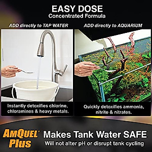 KORDON #33475 AmQuel Plus Water Treatment, 5-Gallon