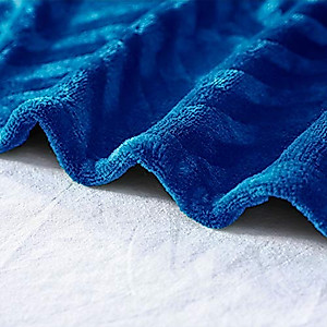 Whale Flotilla Fleece Throw Blanket for Couch, Soft Fluffy Sofa Bed Blanket with Chevron Pattern for All Season, Warm and Lightweight, 50x60 Inch, Royal Blue