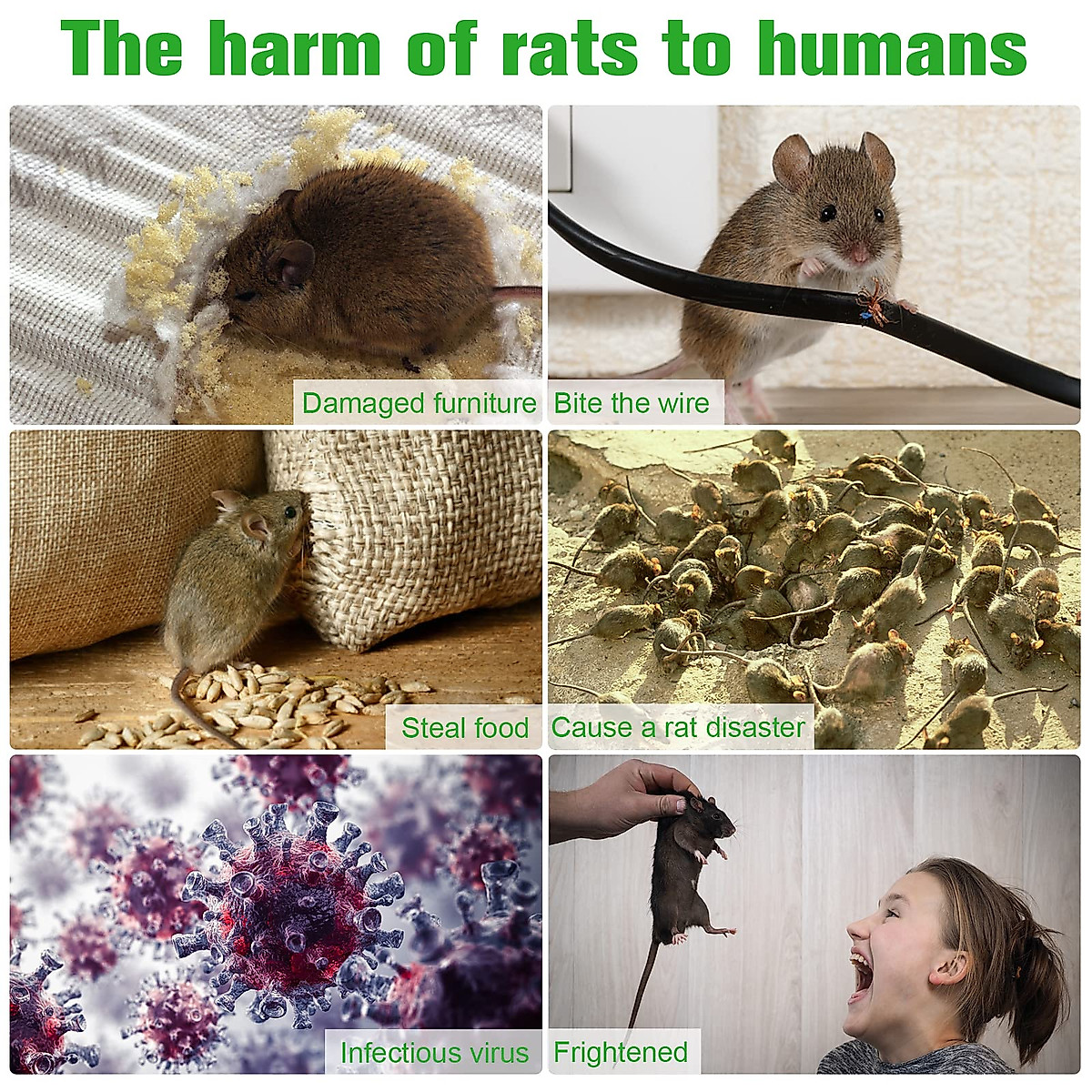 Heyouou Humane Mouse Traps Indoor Outdoor, Reusable Rat Catch and Release That Work, No Kill Live Safe Mice Trap Catcher for House, Garage, Small Rodent, Voles, Hamsters, Mole 2 pack Blue Mouse Traps