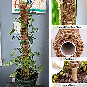 Moss Pole for Plants Monstera, 69 Inch Plant Support Stakes for Indoor Plants, 6 Pcs 15.7Inch Plant Moss Poles for Indoor Potted Climbing Plants Creepers, Plant Sticks Coco Coir Pole