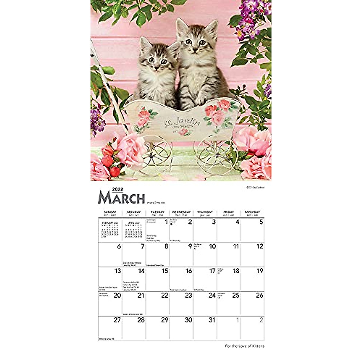 For the Love of Kittens 2022 7 x 7 Inch Monthly Mini Wall Calendar with Foil Stamped Cover, Animals Cats Feline