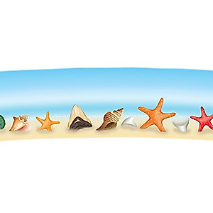 Tervis Shells on the Beach Tumbler with Wrap and Turquoise Lid 16oz Mug, Clear