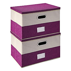Fassave Foldable Storage Bins with Lids, 2 Packs Fabric Storage Container Basket Cube with Handles for Office, Bedroom, Closet (Medium-2 Pack, Beige&Purple)