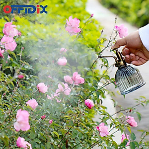 OFFIDIX Plant Mister Plant Water Spray Bottle, 6.3" Tall Vintage Style with Bronze Plastic Top Pump One Hand Glass Watering Can for Indoor Potted Plants Terrariums (Dark Gray)