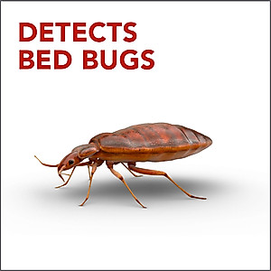 Raid Bed Bug Detector and Trap, For Indoor Use, 4 Count