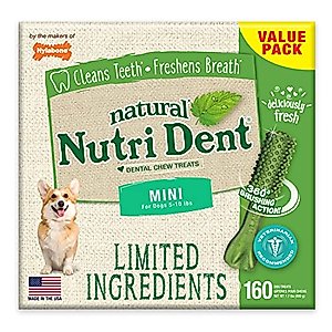 Nylabone Nutri Dent Dog Dental Treats - Natural Dog Teeth Cleaning & Breath Freshener - Dental Treats for Dogs - Fresh Breath Flavor, Mini (160 Count)
